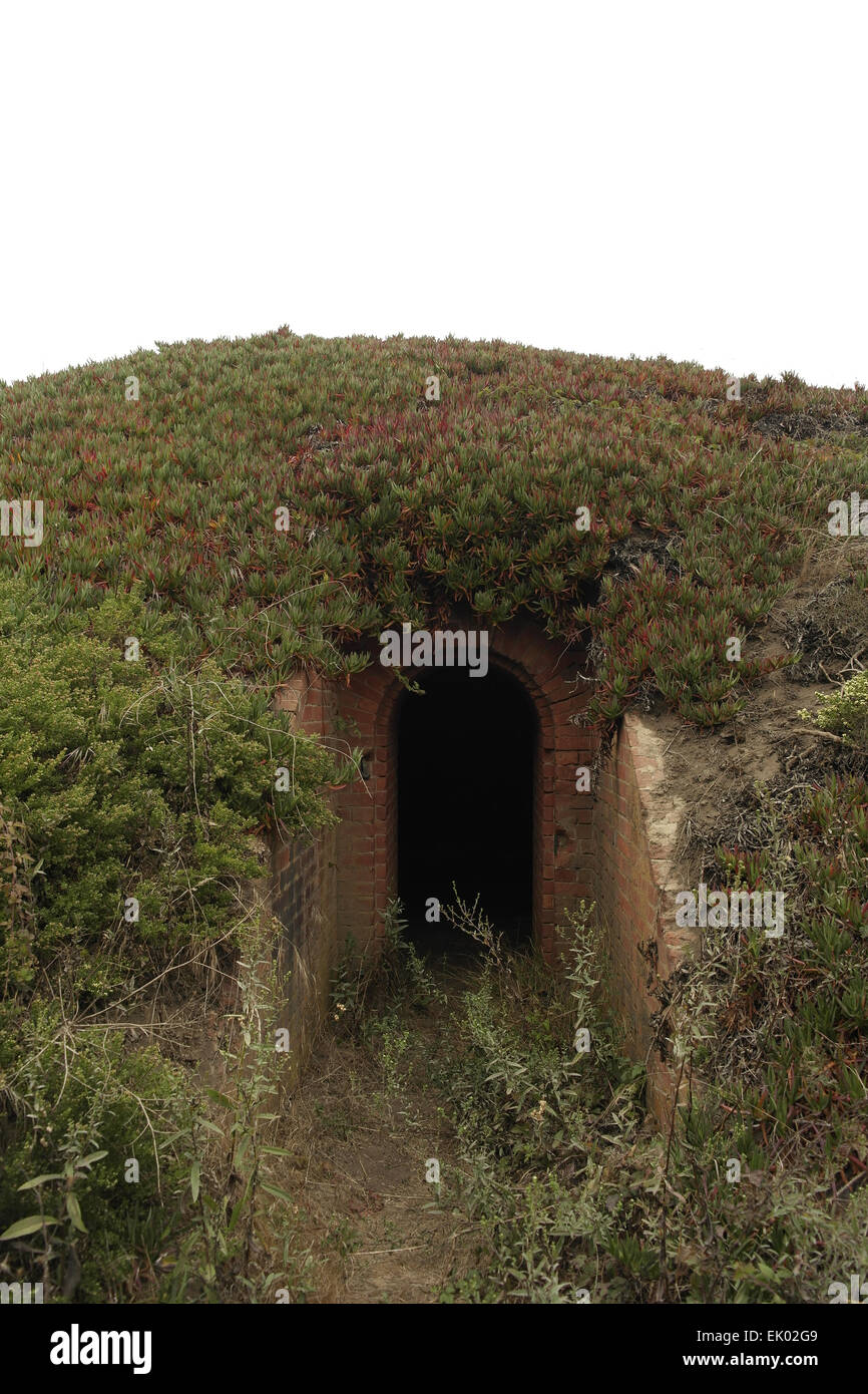 Grey sky portrait over grown brick-lined entrance to underground ...
