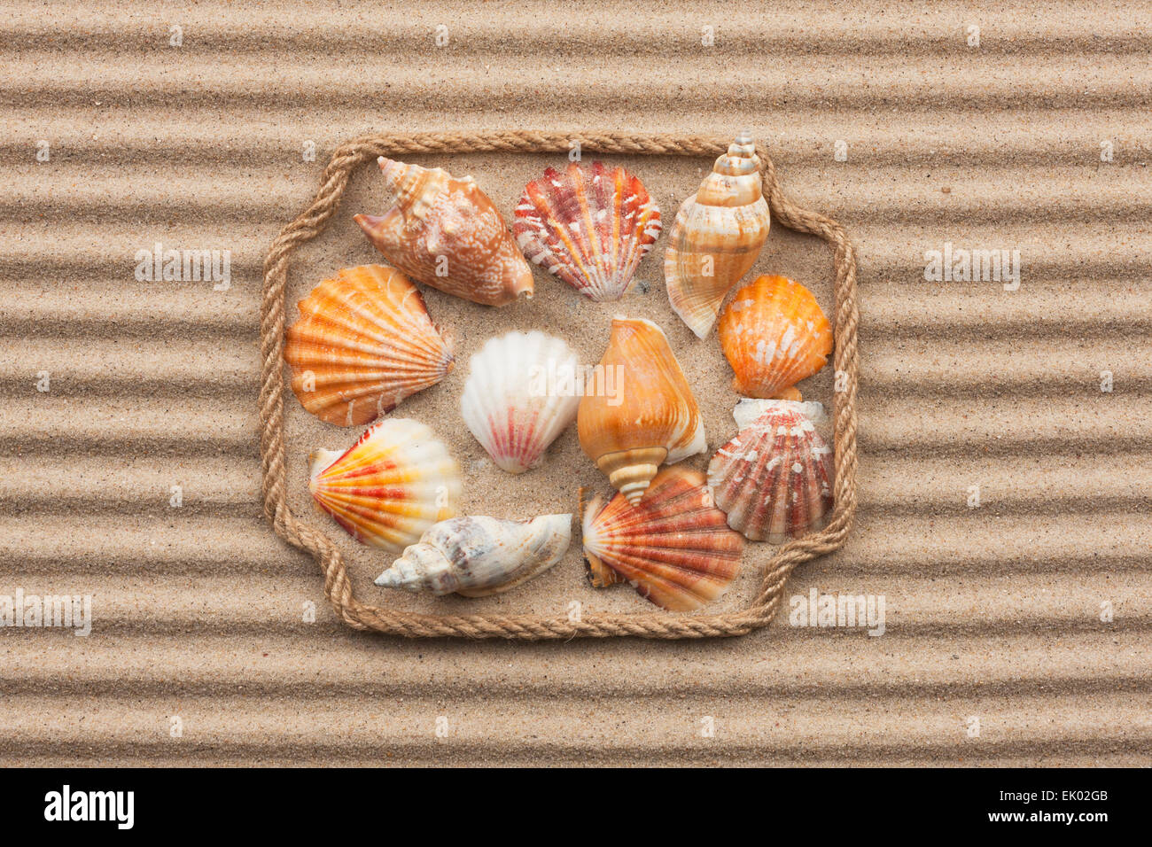 Beautiful frame made of rope and sea shells on the sand with text, as ...