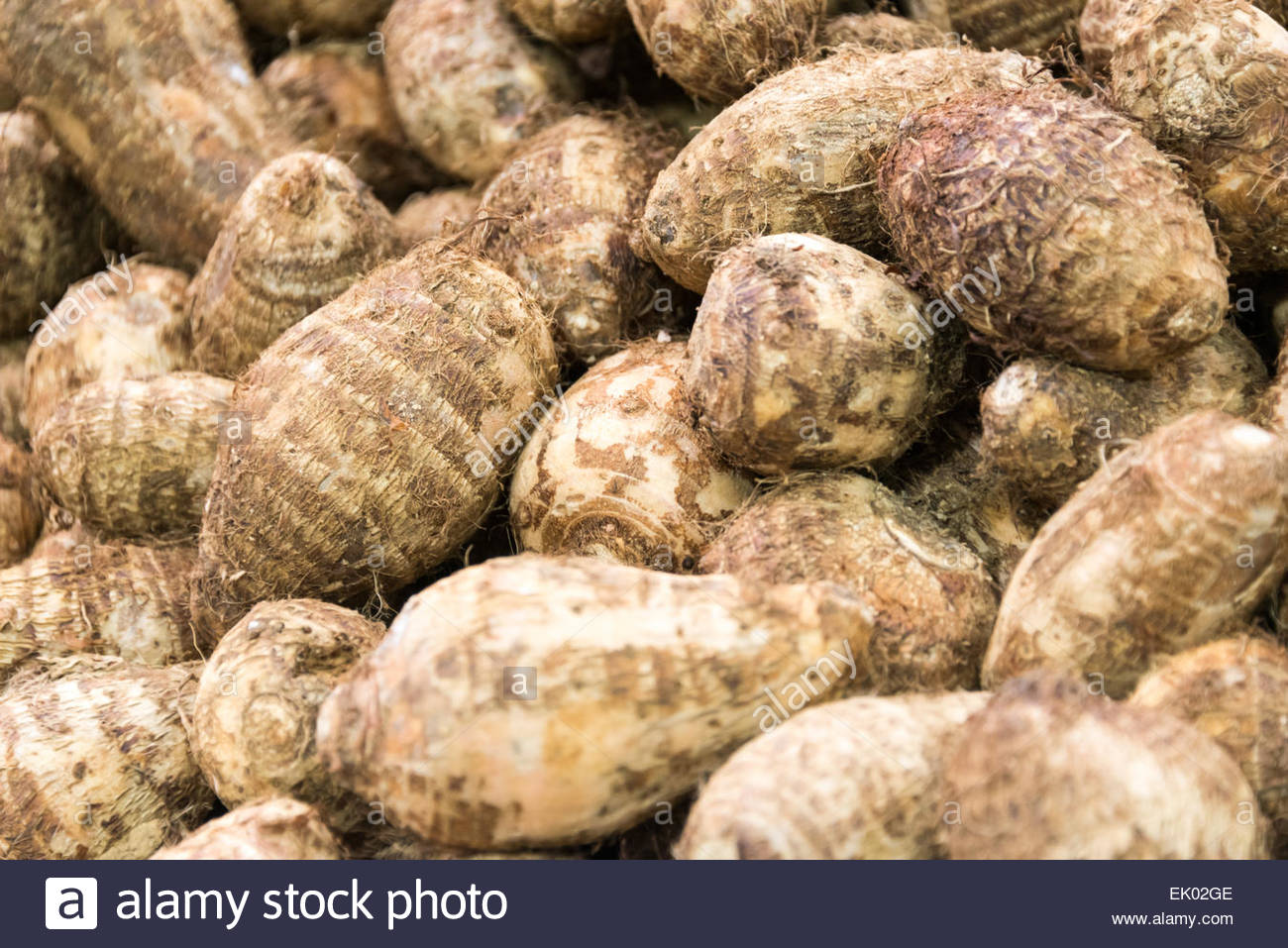 Eddoe Stock Photos & Eddoe Stock Images - Alamy