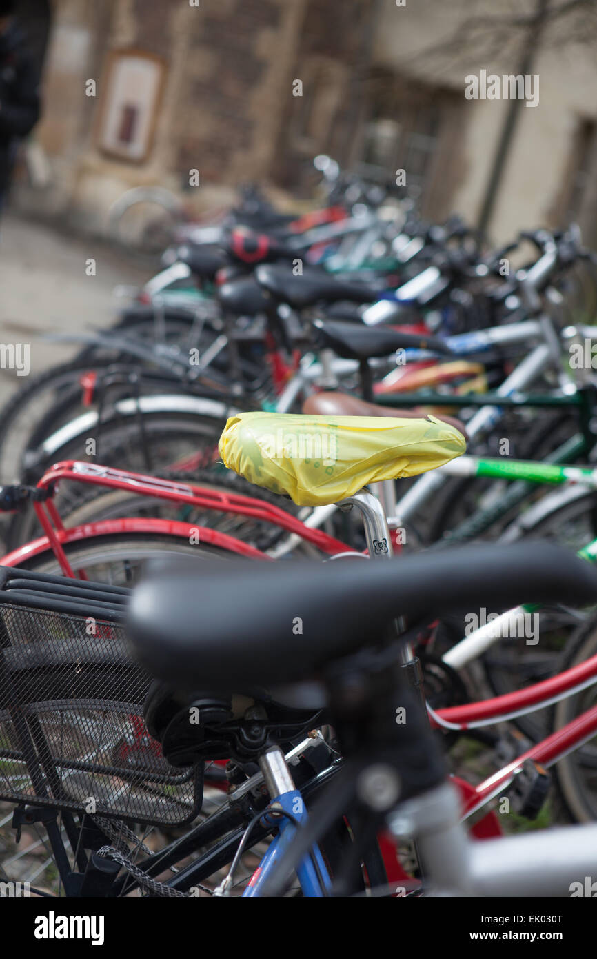 Country activity hi-res stock photography and images - Alamy