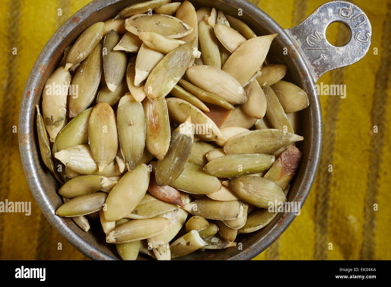 Seeds and shells hi-res stock photography and images - Alamy