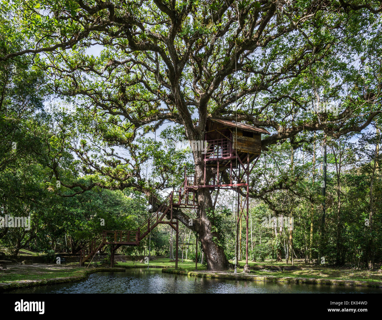 Canopy Tree House