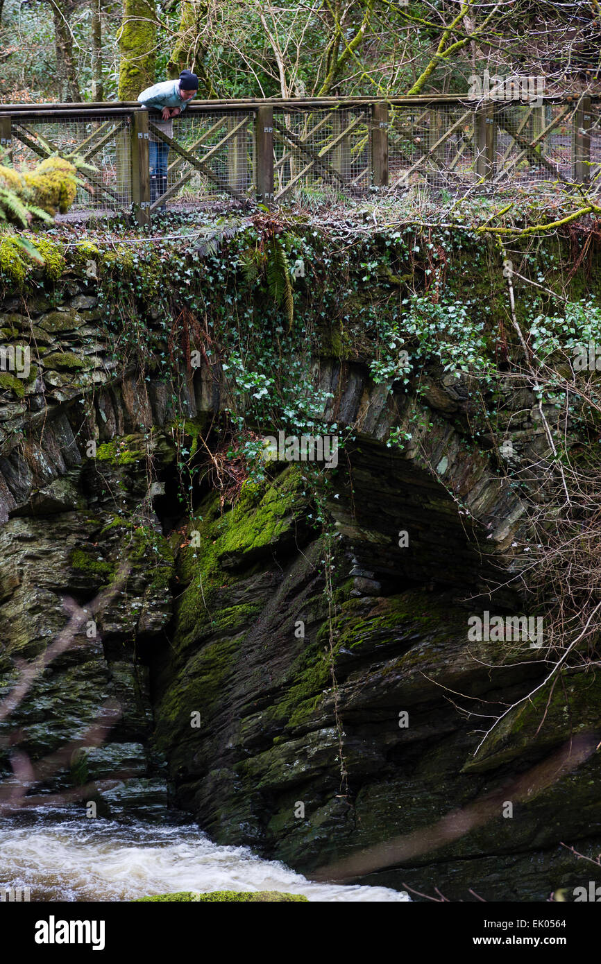 Hafod bridge hi-res stock photography and images - Alamy