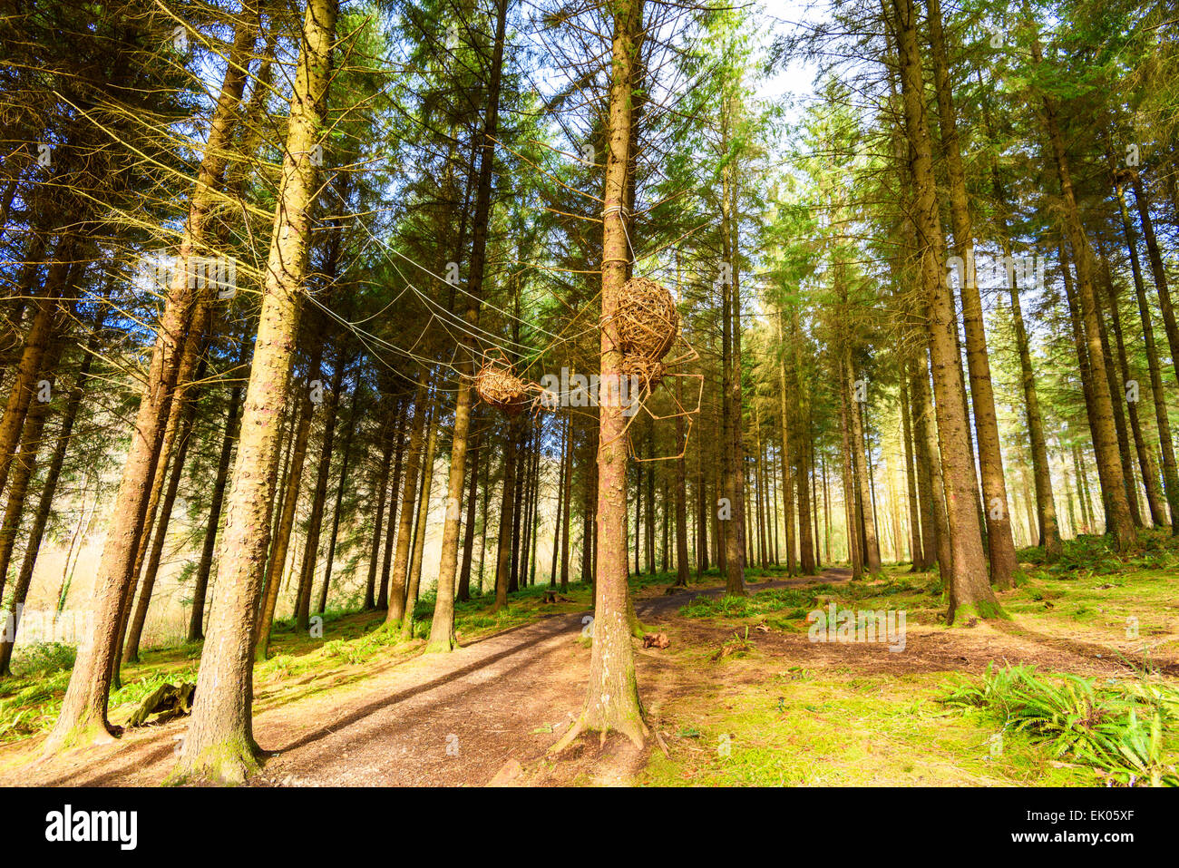 Wicker spider hi-res stock photography and images - Alamy