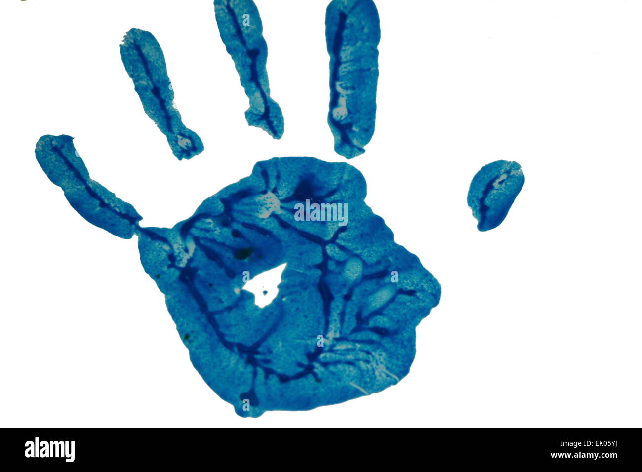 on a white background left handprint blue Stock Photo - Alamy