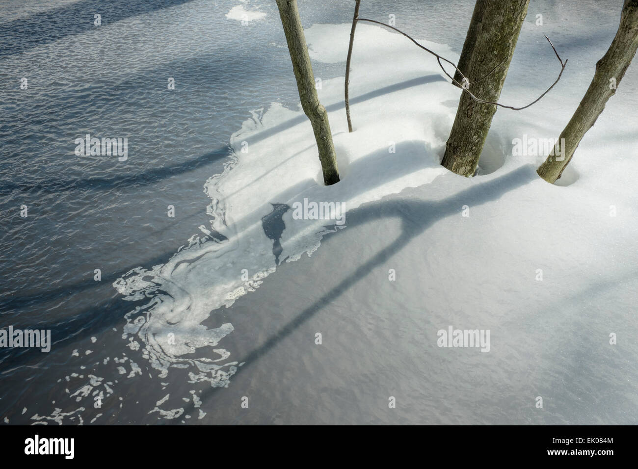 Snow and Trees on Water Stock Photo - Alamy