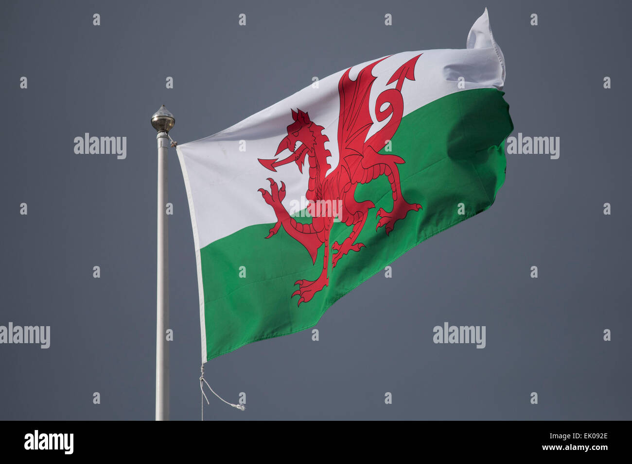 Welsh dragon flag hi-res stock photography and images - Alamy