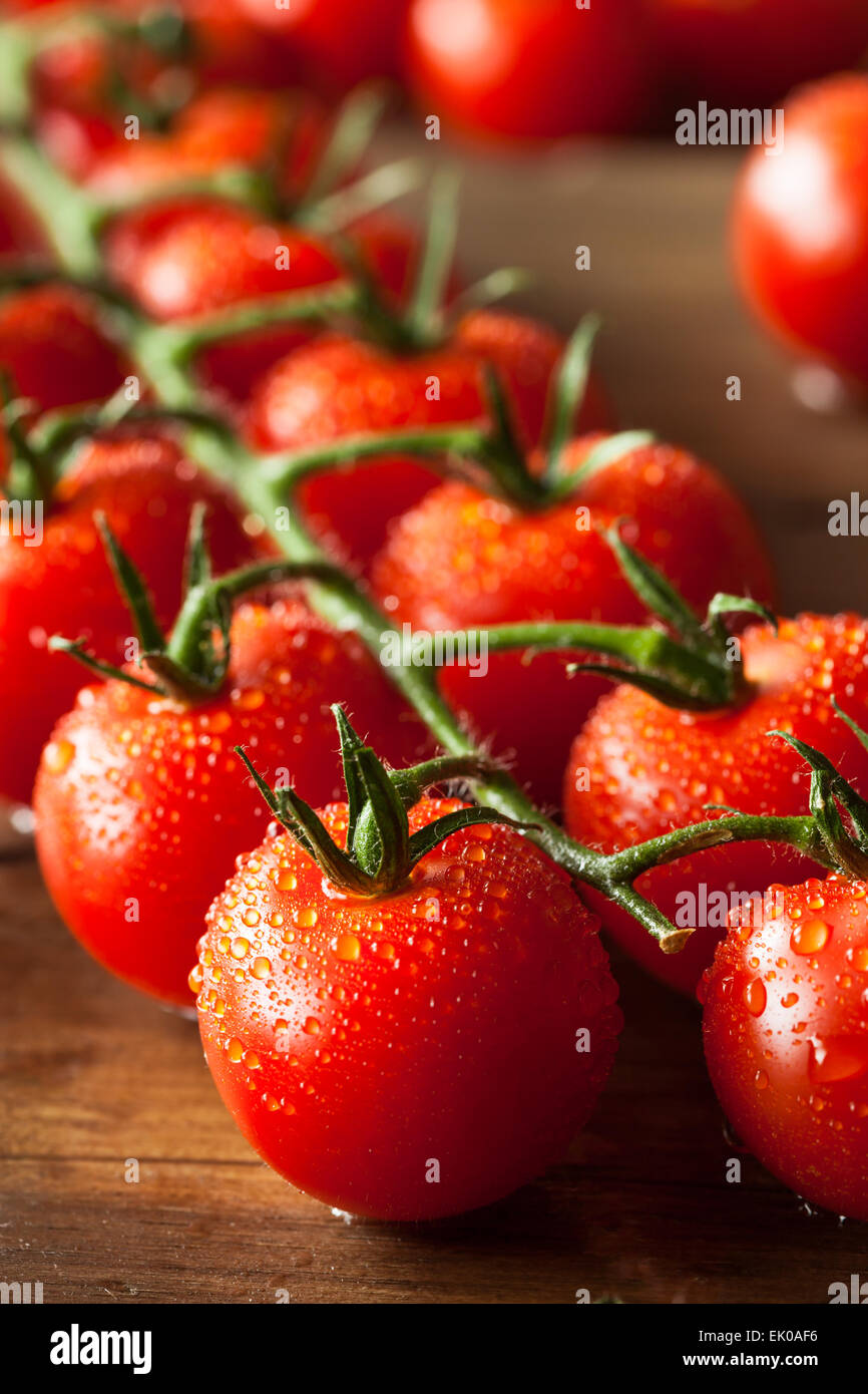 Raw Organic Red Cherry Tomatoes on the Vine Stock Photo - Alamy