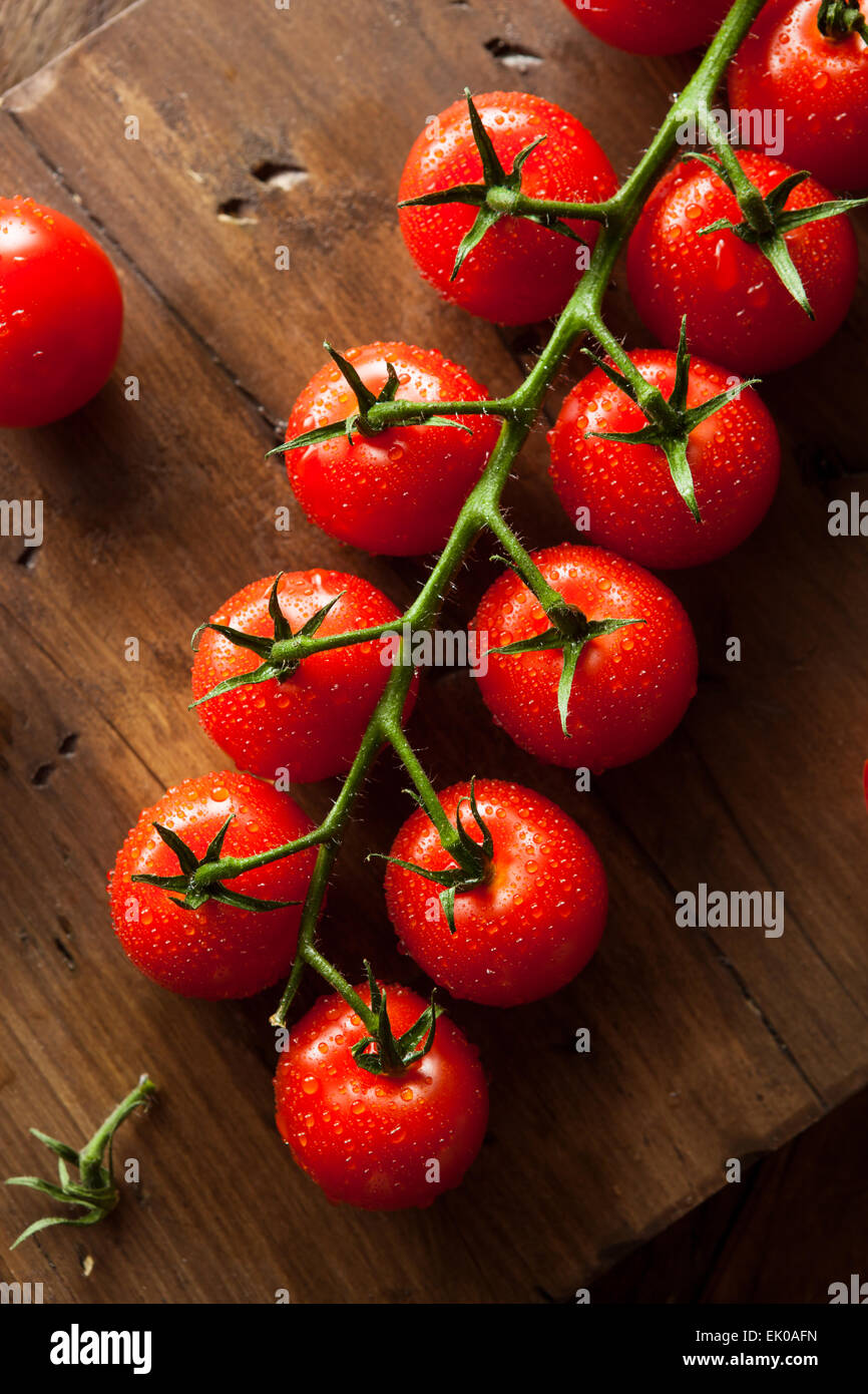 Raw Organic Red Cherry Tomatoes on the Vine Stock Photo - Alamy