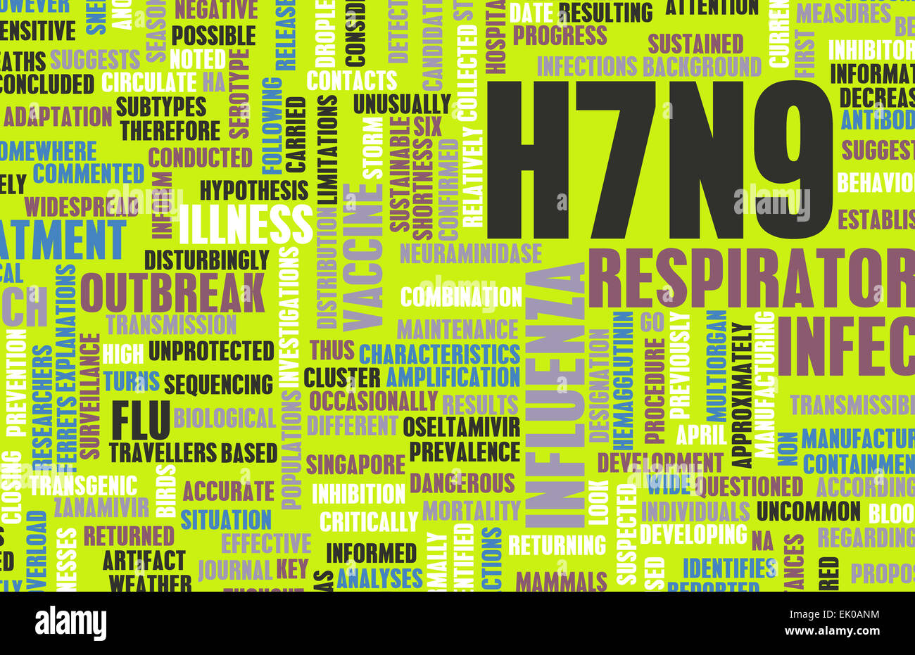 Avian influenza a h7n9 hi-res stock photography and images - Alamy