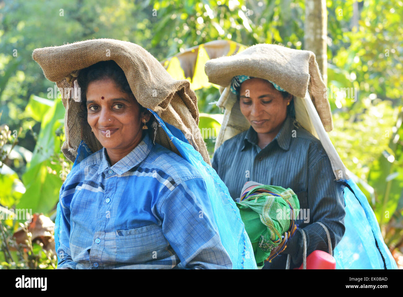 Kerala women working hi-res stock photography and images - Alamy