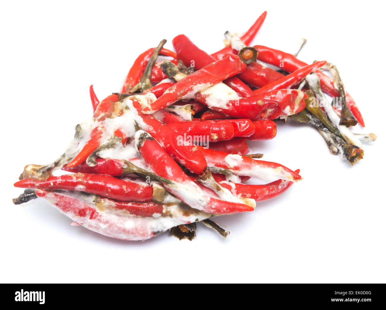 rotten chili pepper isolated on white background Stock Photo - Alamy
