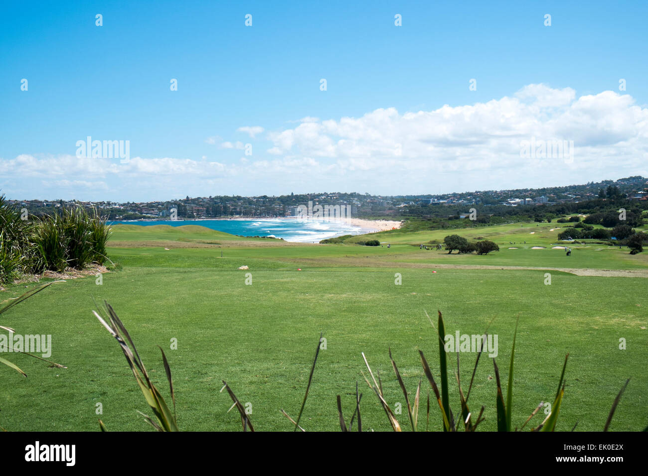 long reef golf course by the ocean on sydney's northern beaches ...