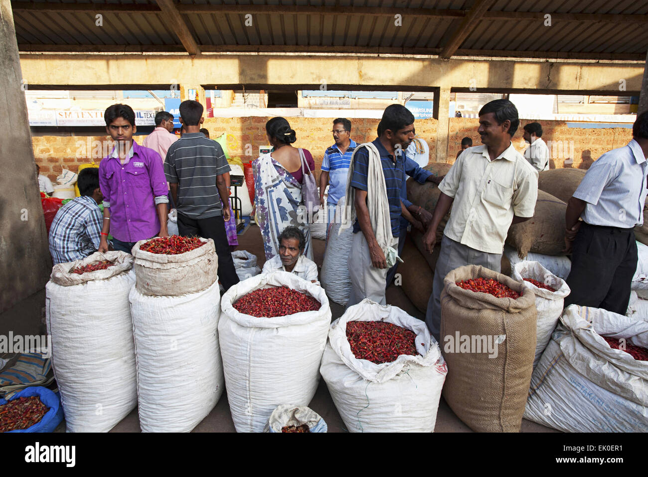 Typical chilli market in Mapusa, Goa, India Stock Photo - Alamy
