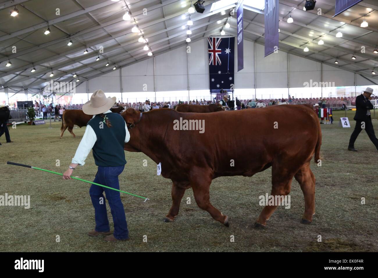Australia sydney royal easter show hi-res stock photography and images ...