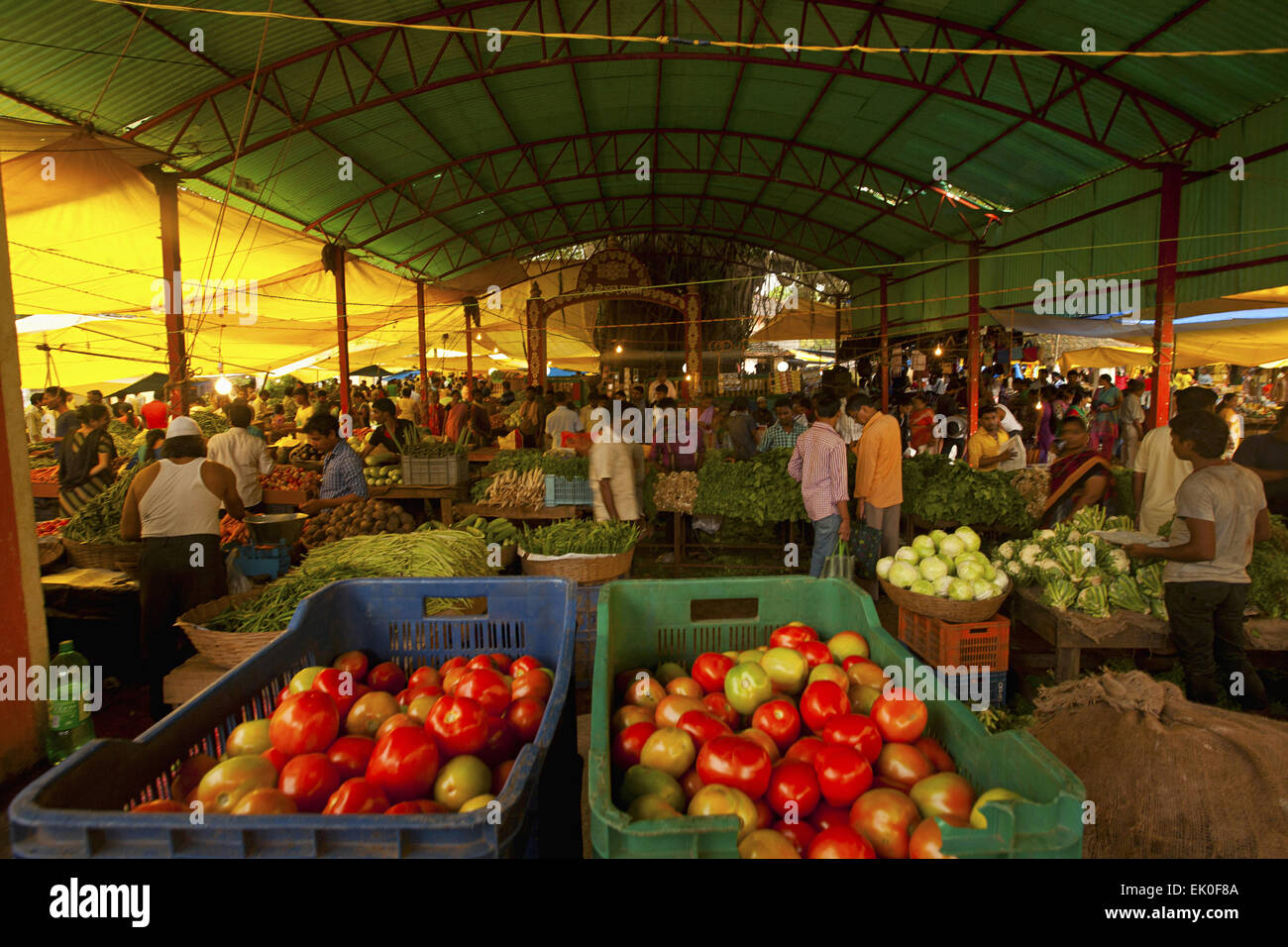 Farmer Goa India High Resolution Stock Photography and Images - Alamy