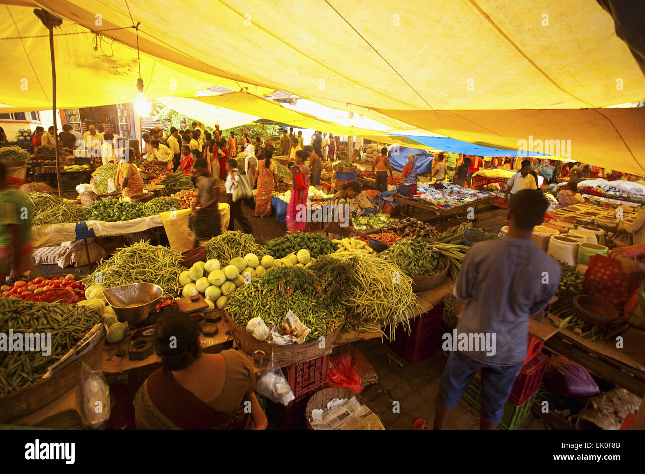 Farmer goa india hi-res stock photography and images - Alamy
