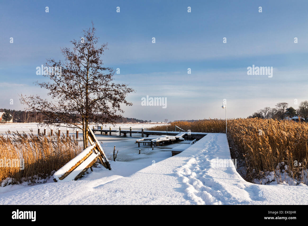 Prerow, germany hi-res stock photography and images - Alamy