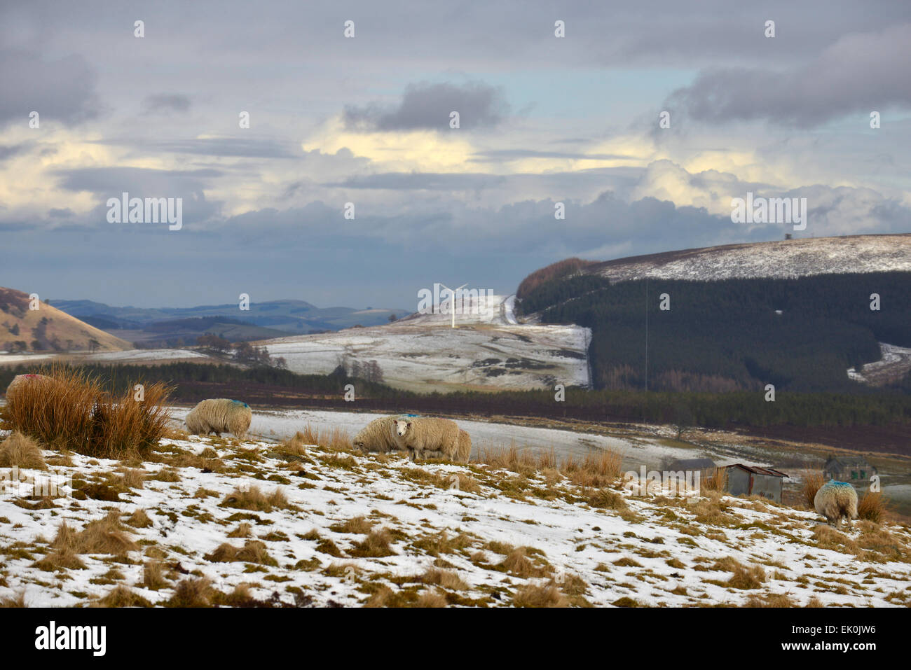 Drumderg wind farm hi-res stock photography and images - Alamy