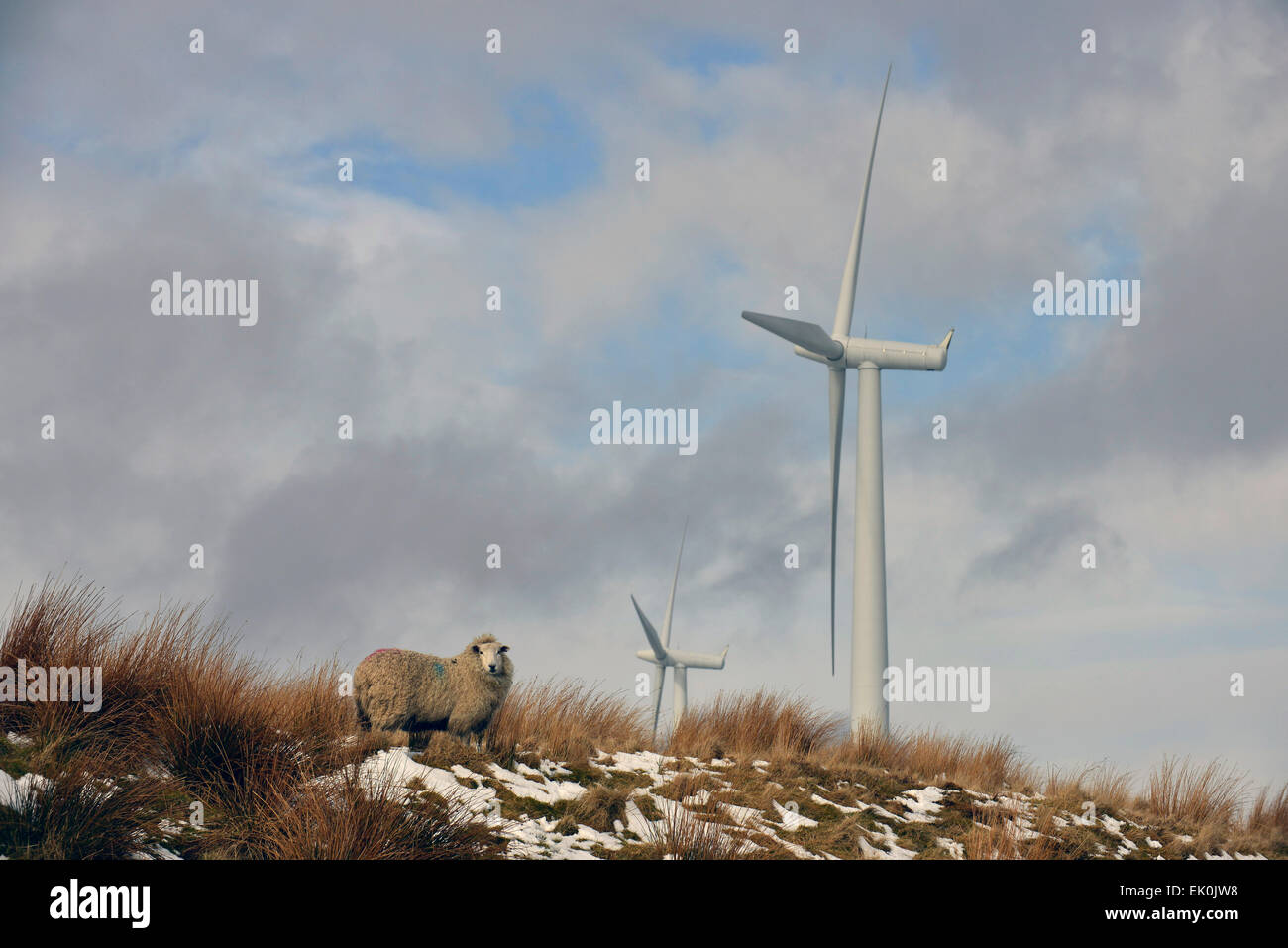 Drumderg hi-res stock photography and images - Alamy