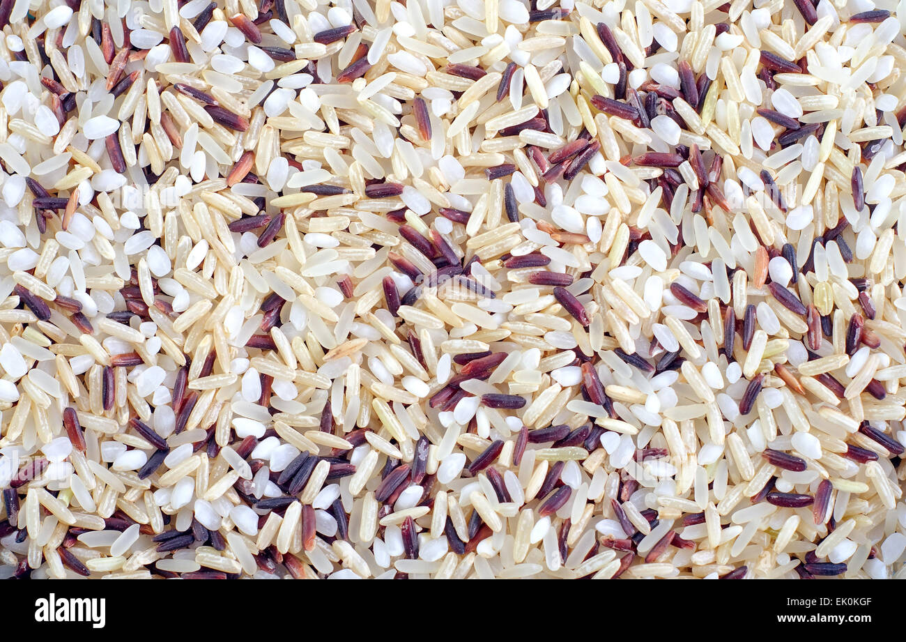 Premium thai jasmine rice hi-res stock photography and images - Alamy