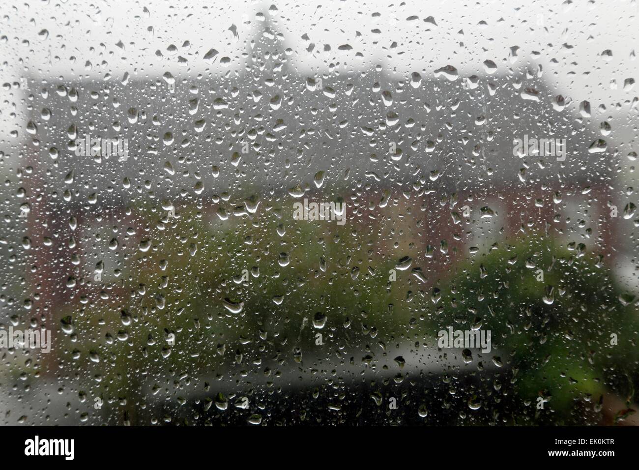 water, environmental issues, environment, environmental, rain, raining ...