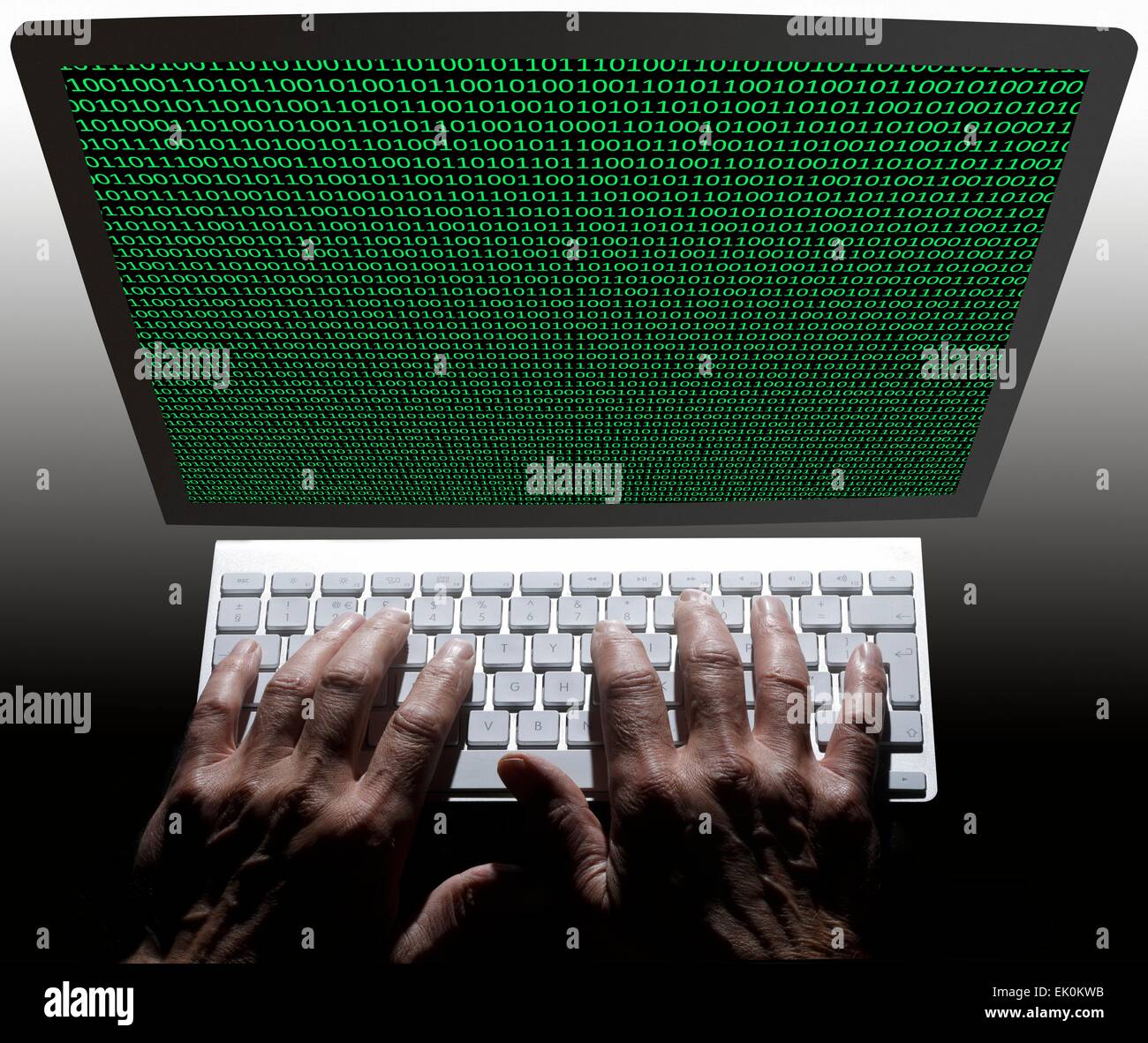 adult, one person, high angle view, high angle, hands, using, computer ...