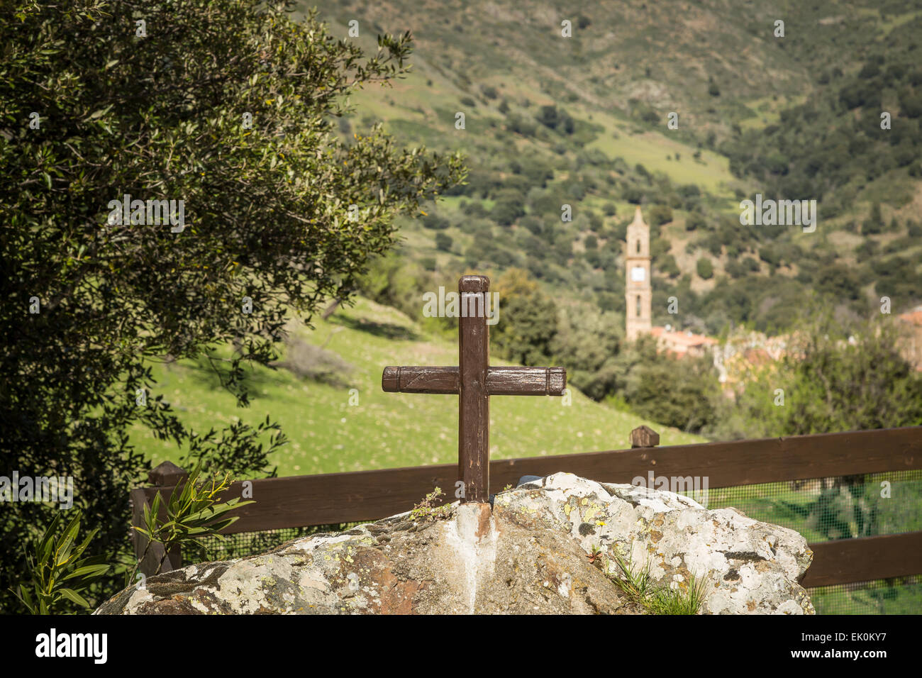 A painted wooden cross in the rock next to an olive tree and in front ...
