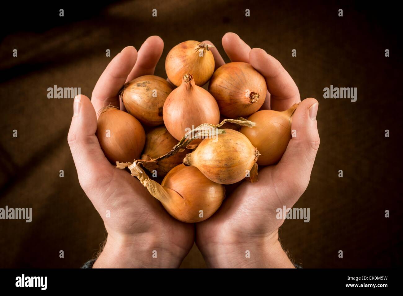 one person, hands, holding, adult, healthy eating, fresh, food, food ...