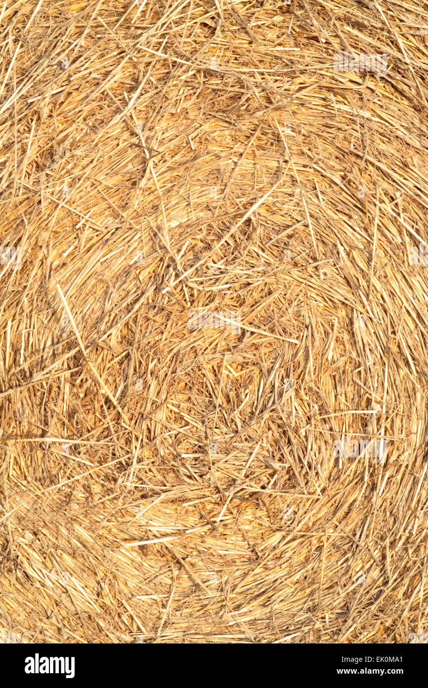 Hay bale texture hi-res stock photography and images - Alamy