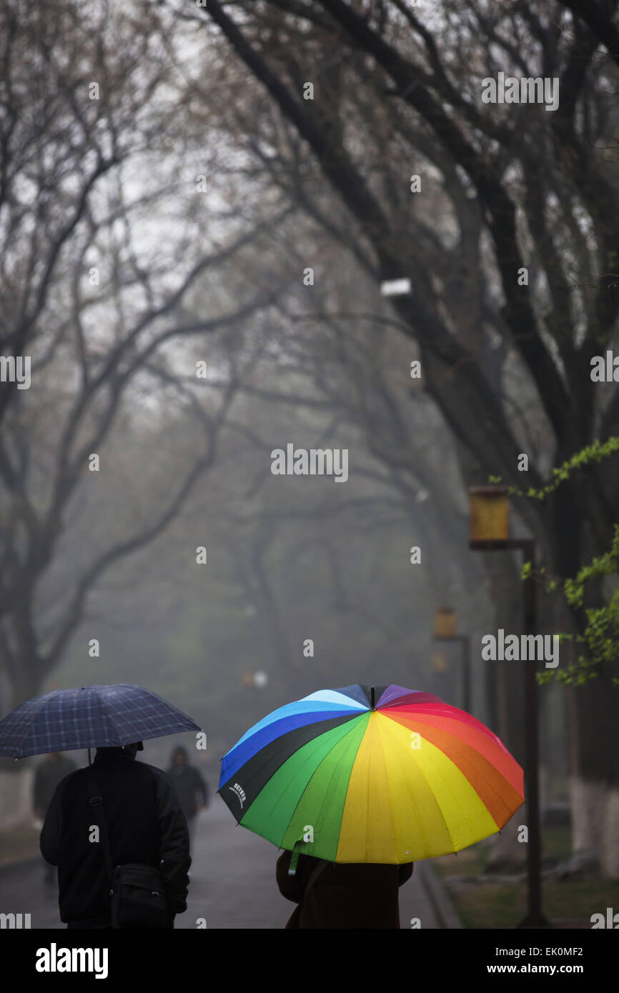 a women takes a big colourful umbrella walking in rain in Beihai Park ...