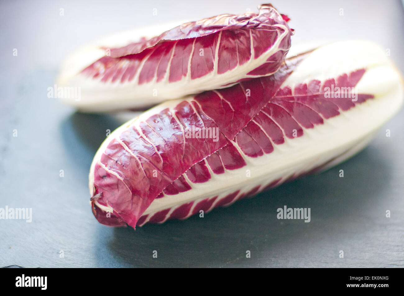 radicchio a typical vegetable Venetian Stock Photo - Alamy