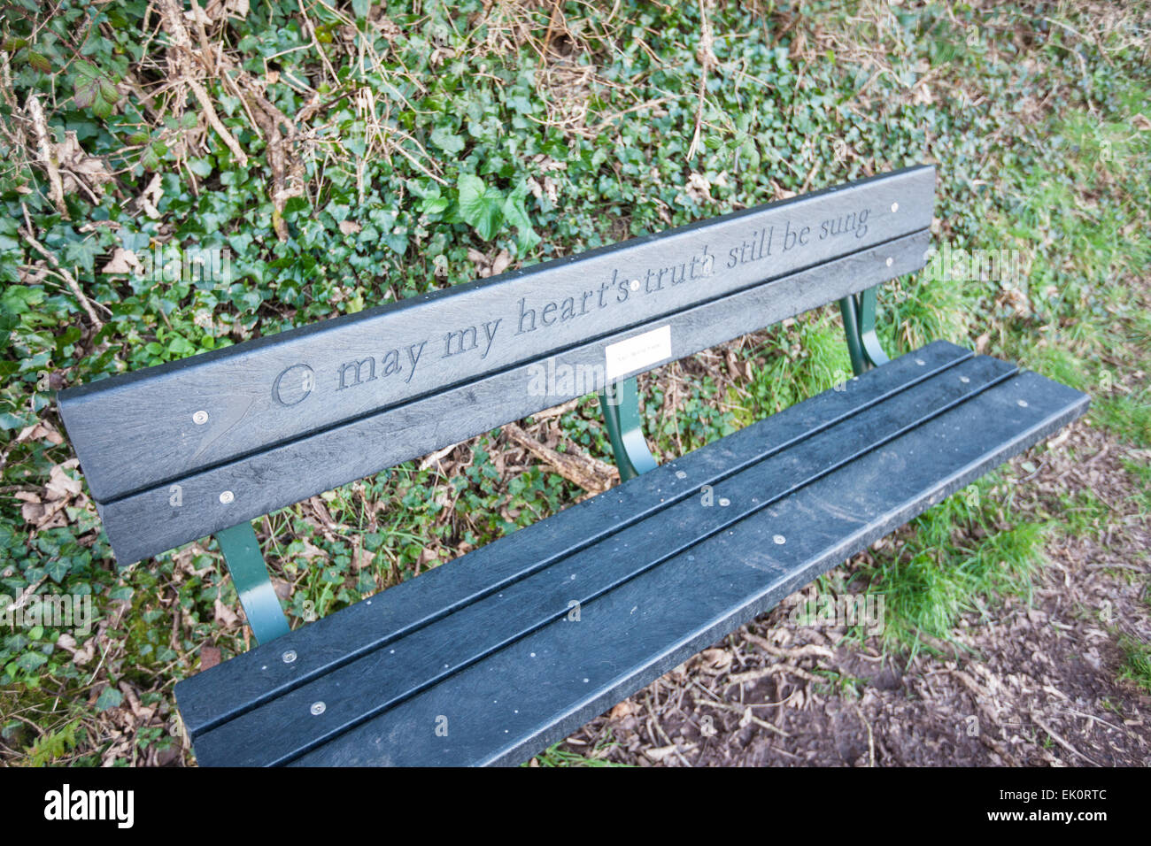 Bench with Dylan poem on trail, poet Dylan Thomas' Birthday Walk in ...