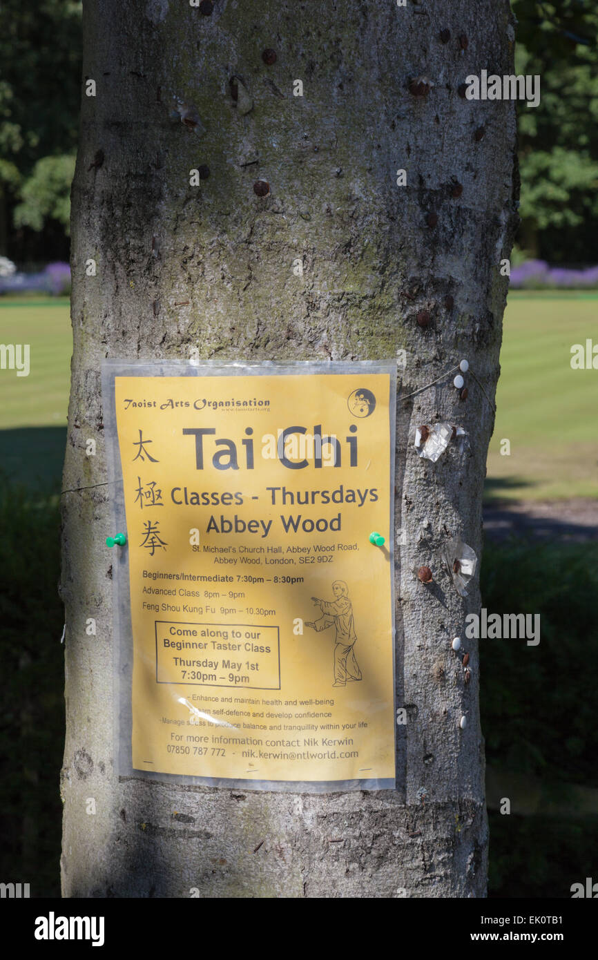 Advertising poster for Tai Chi classes pinned to a tree on Bostall ...