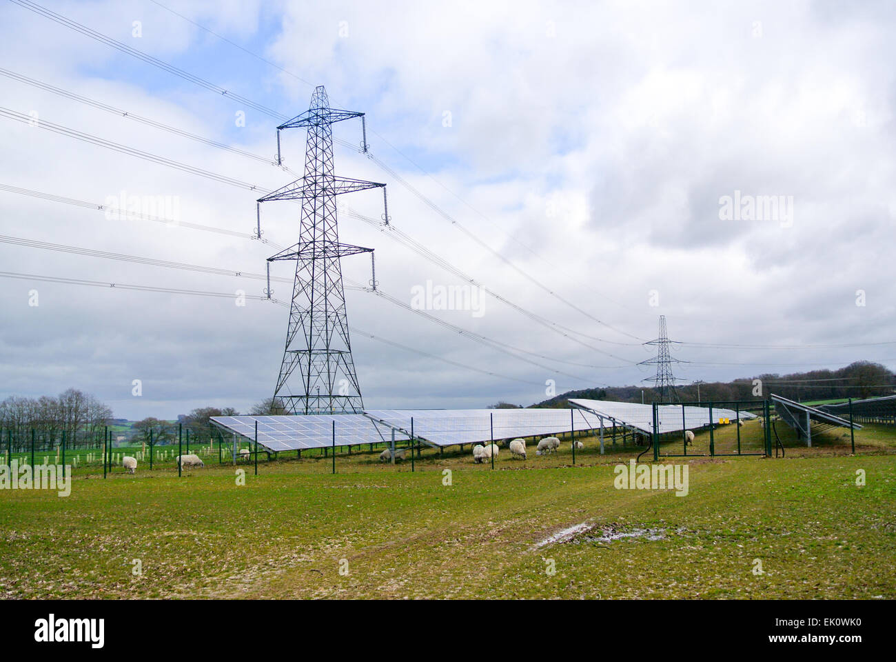 Renewable solar energy farm Stock Photo - Alamy