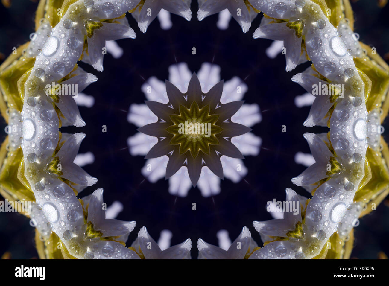 Abstract symmetry and colors Stock Photo - Alamy