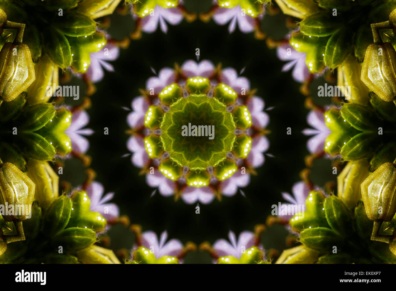 Abstract symmetry and colors Stock Photo - Alamy