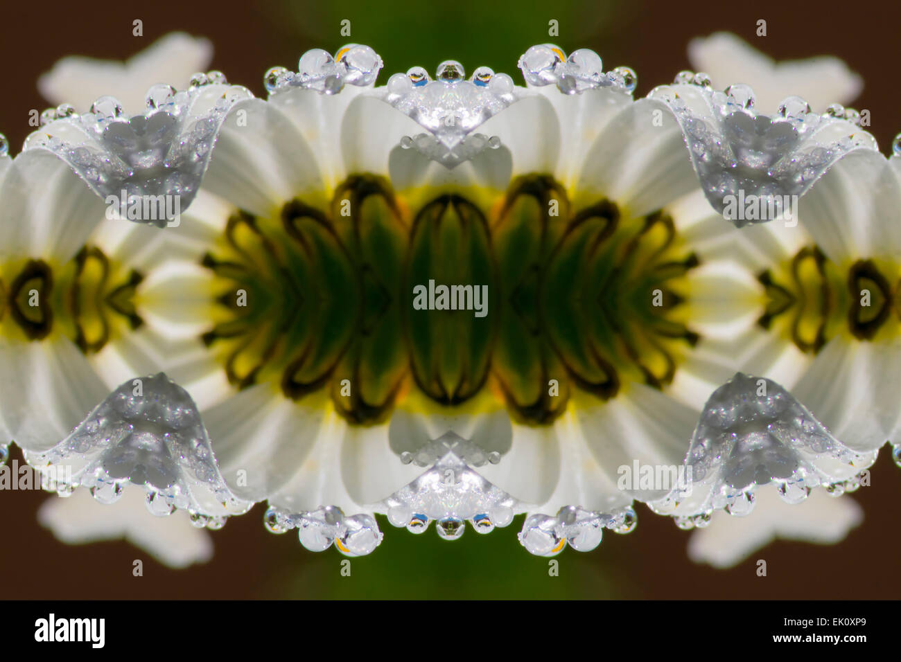 Abstract symmetry and colors Stock Photo - Alamy