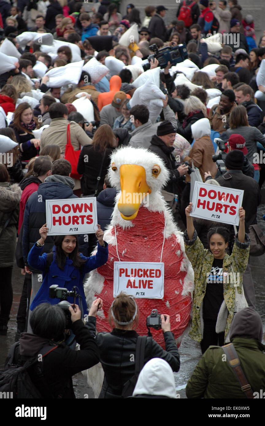 London, UK, 4 April 2015, Peta plucked goose protest at Trafalgar ...