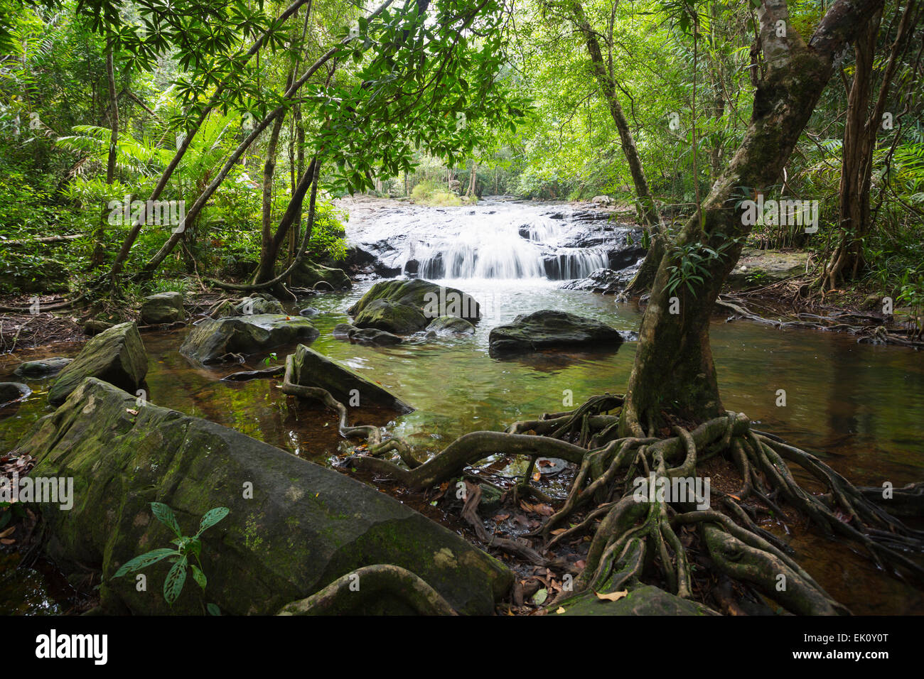 Pang Sida waterfall, Pang Sida National Park, Dong Phayayen-Khao Yai ...