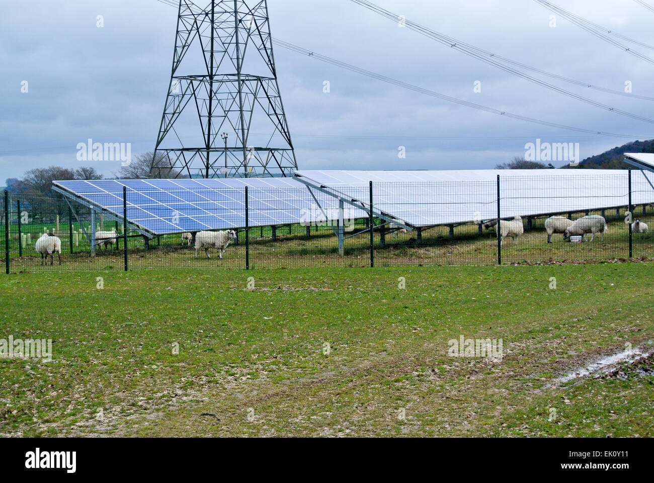 Renewable solar energy farm Stock Photo - Alamy