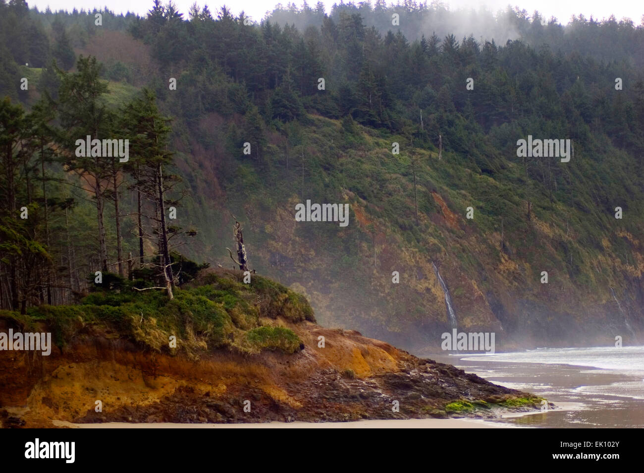 Oregon misty coast Stock Photo - Alamy
