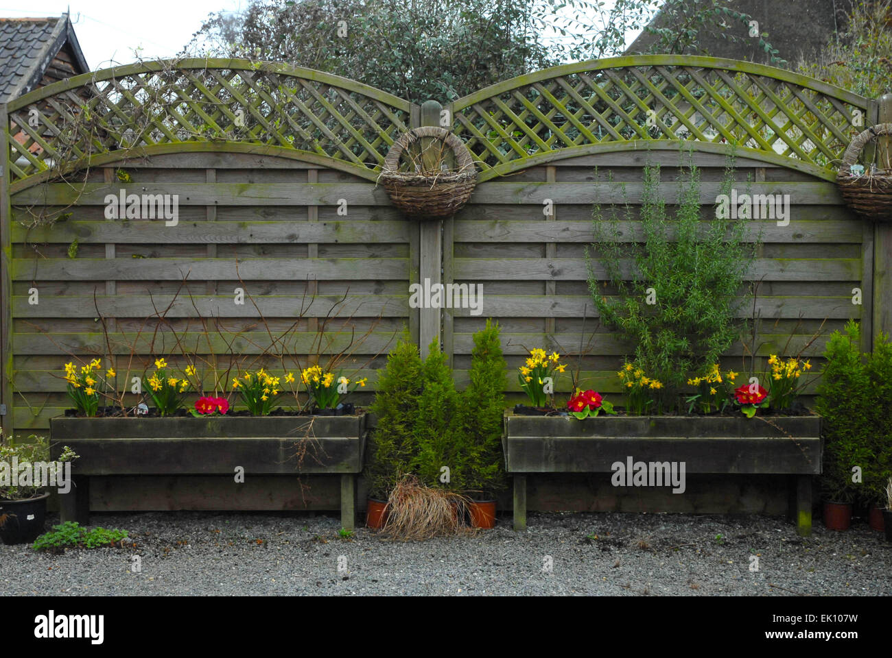 wooden containers with spring flowers Stock Photo - Alamy