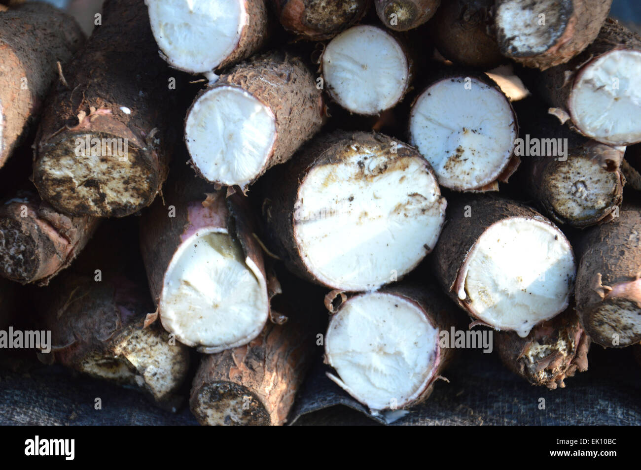 Taro field asia hi-res stock photography and images - Alamy
