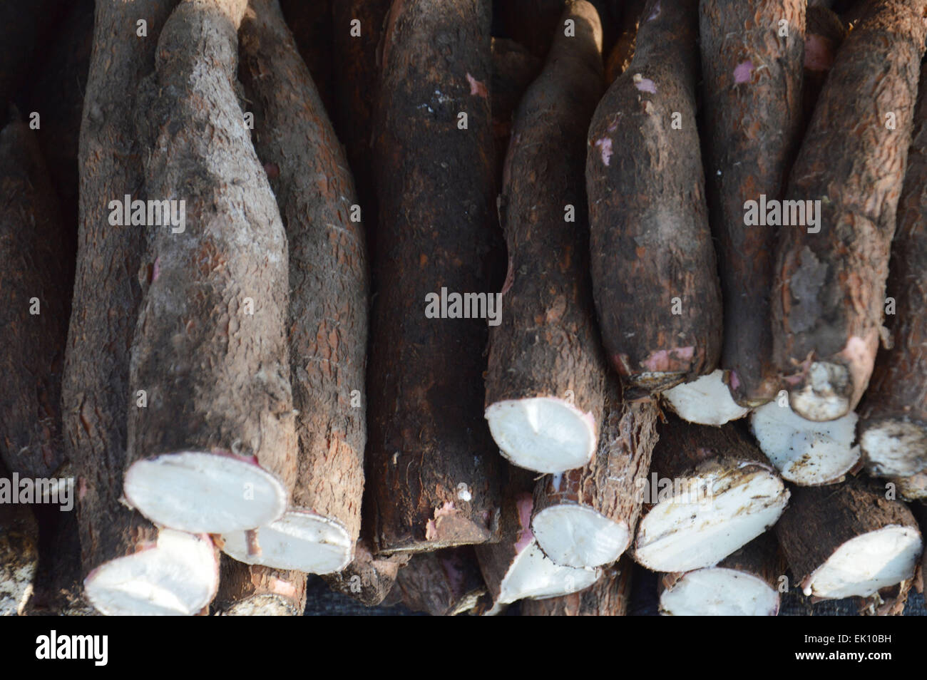 Taro field asia hi-res stock photography and images - Alamy