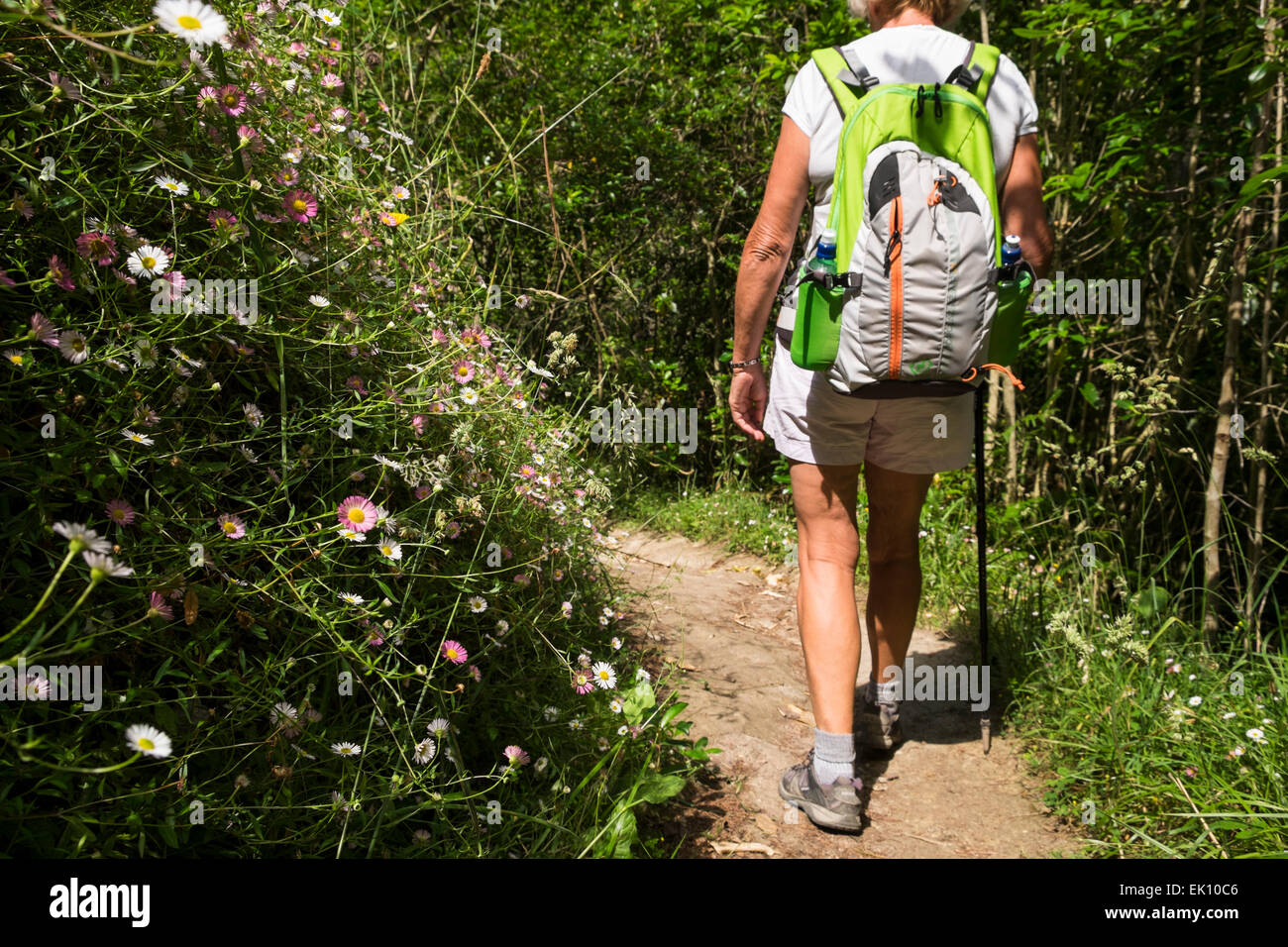 Rear flowers hi-res stock photography and images - Alamy