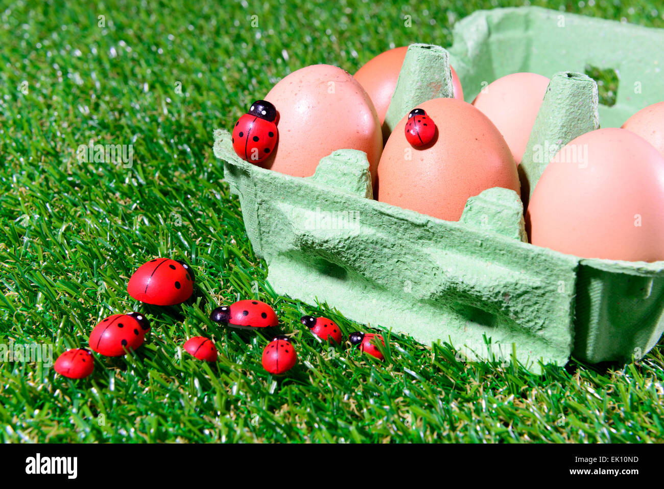 Ladybug eggs hi-res stock photography and images - Alamy