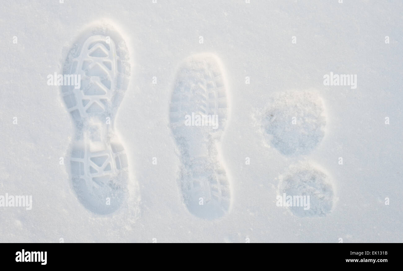 Snow shoe fun hi-res stock photography and images - Alamy