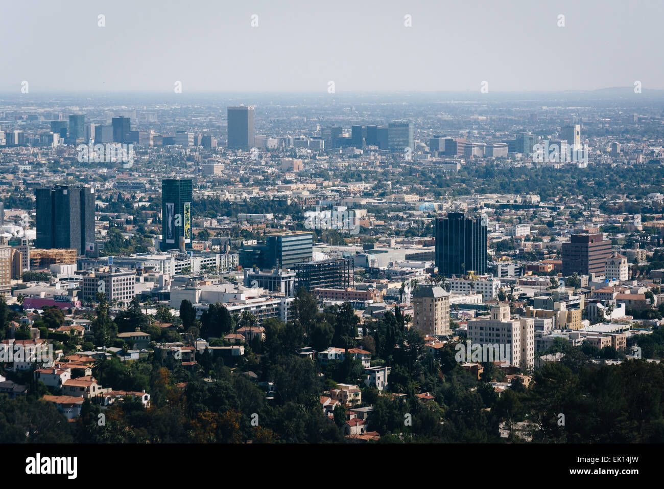 Hollywood City Skyline