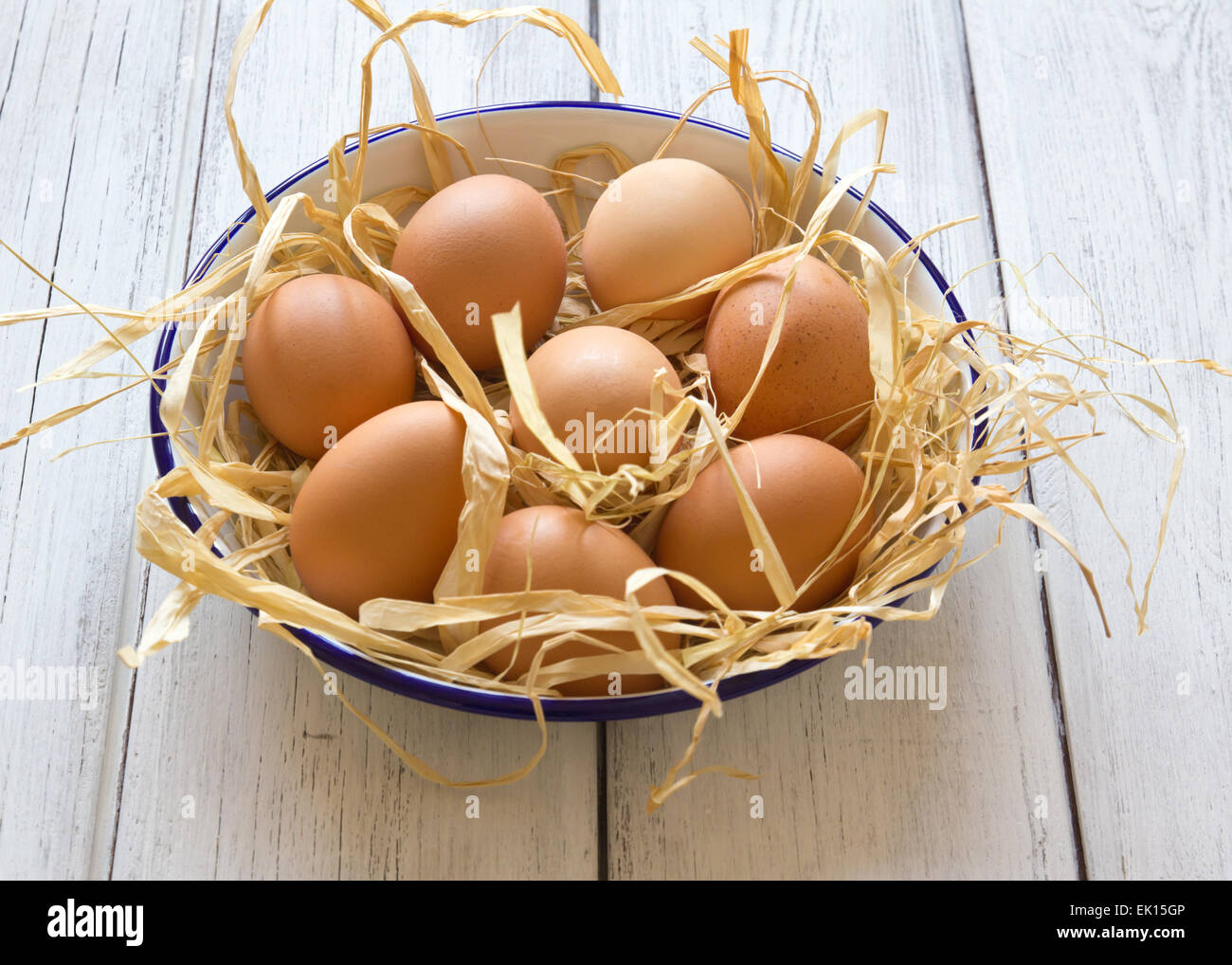 Eight fresh eggs on straw in a white, blue-rimmed enamel bowl on a ...